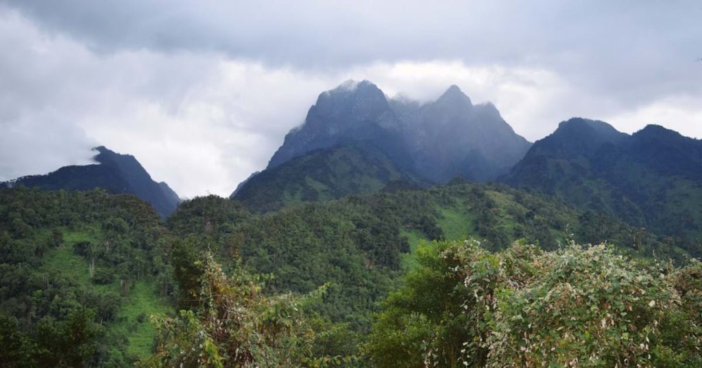 Rwenzori Mountains Filming From Congo- What to Film on Ruwenzori